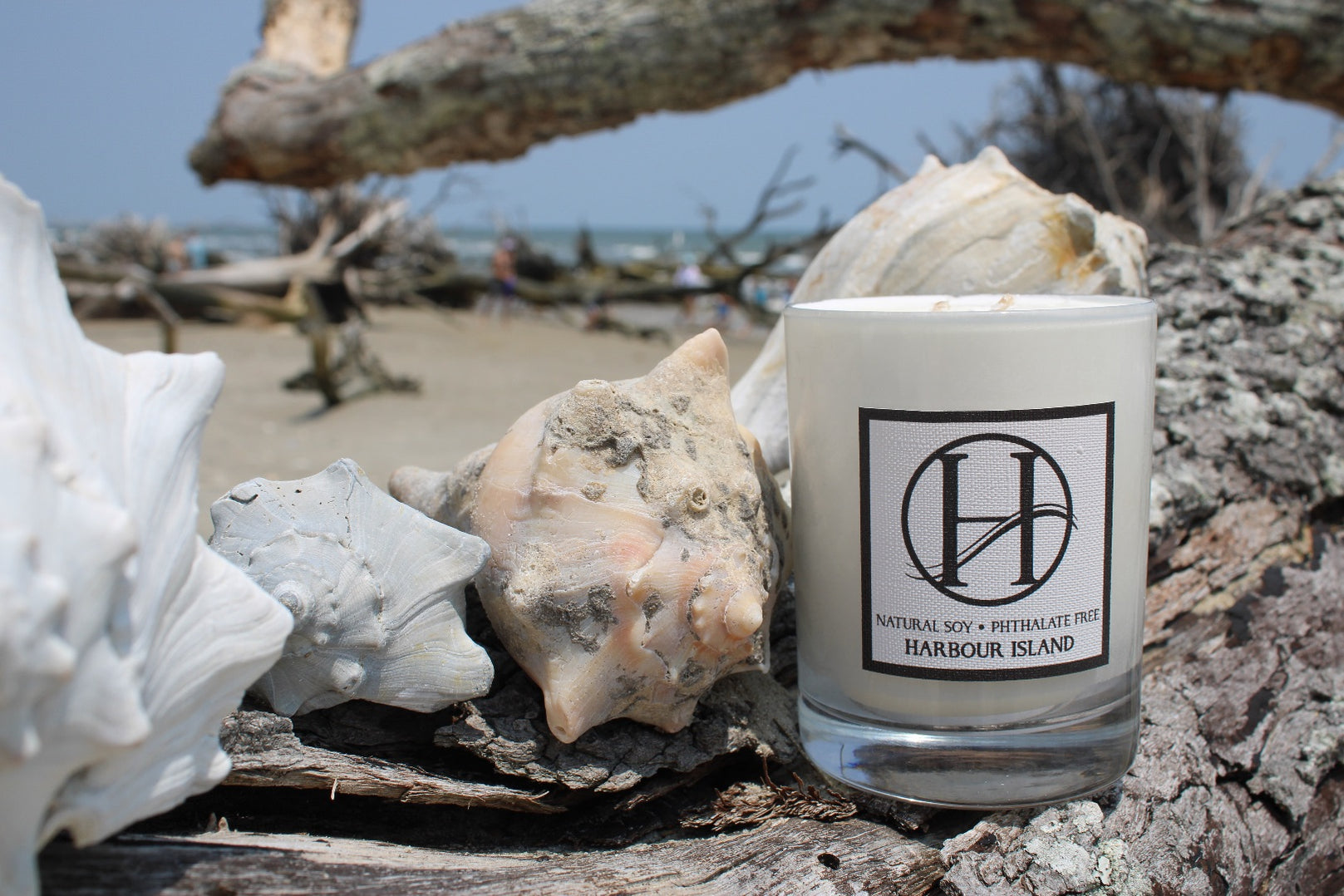Soy Candles and Diffusers | Harbour Co.